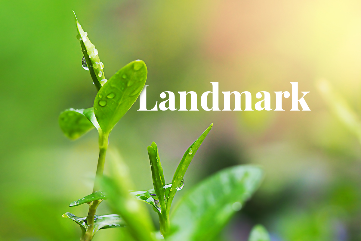 Landmark deal for carbon removal credits by NextGen CDR Facility